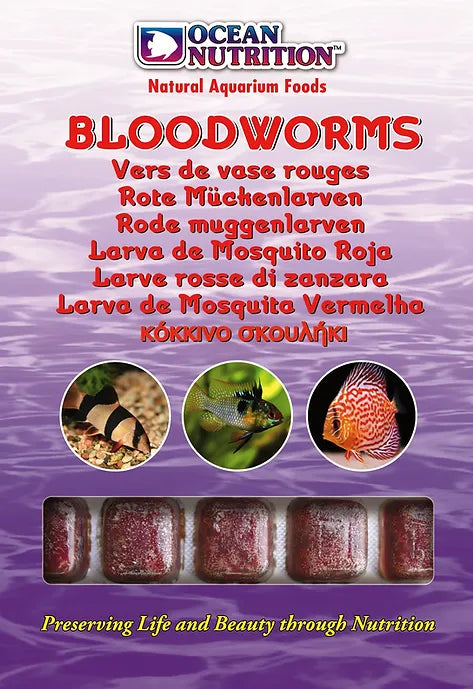 Frozen Bloodworms – Aqua Life Shop